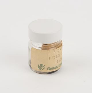 Specimen of Pellis Epiphylla | Science Museum Group Collection