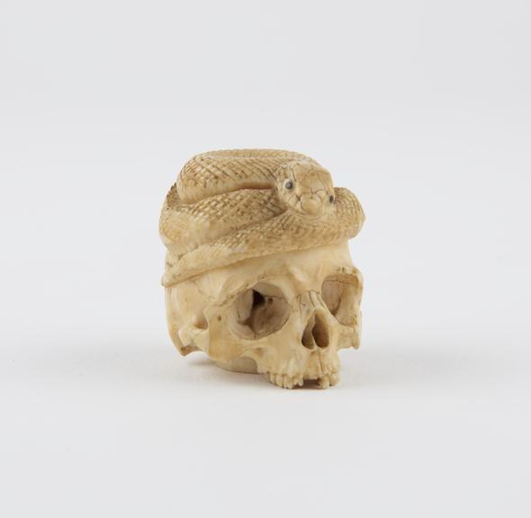 Model of human skull | Science Museum Group Collection