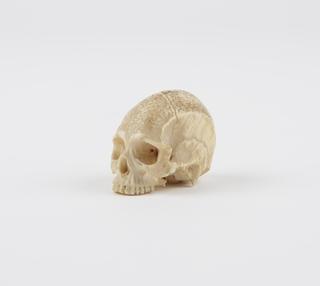 Miniature human skull | Science Museum Group Collection