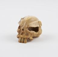 Netsuke in form of skull | Science Museum Group Collection