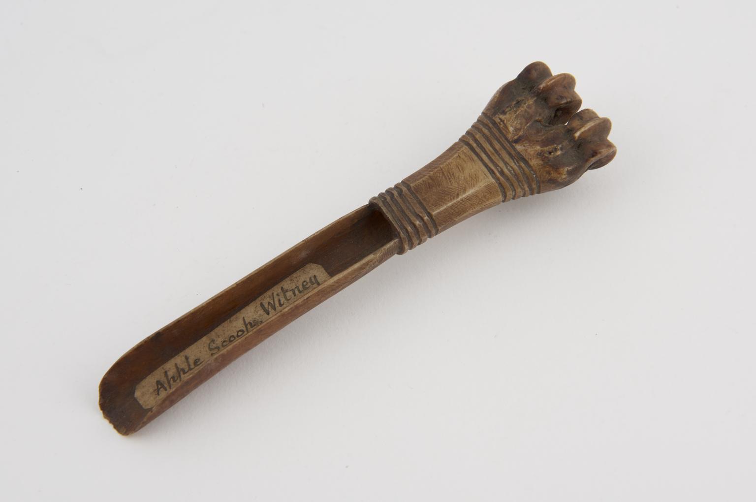 Apple scoop of bone carved from sheep's tibia | Science Museum Group ...