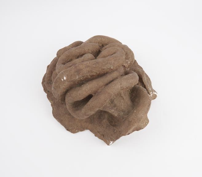 Cast of small intestine | Science Museum Group Collection