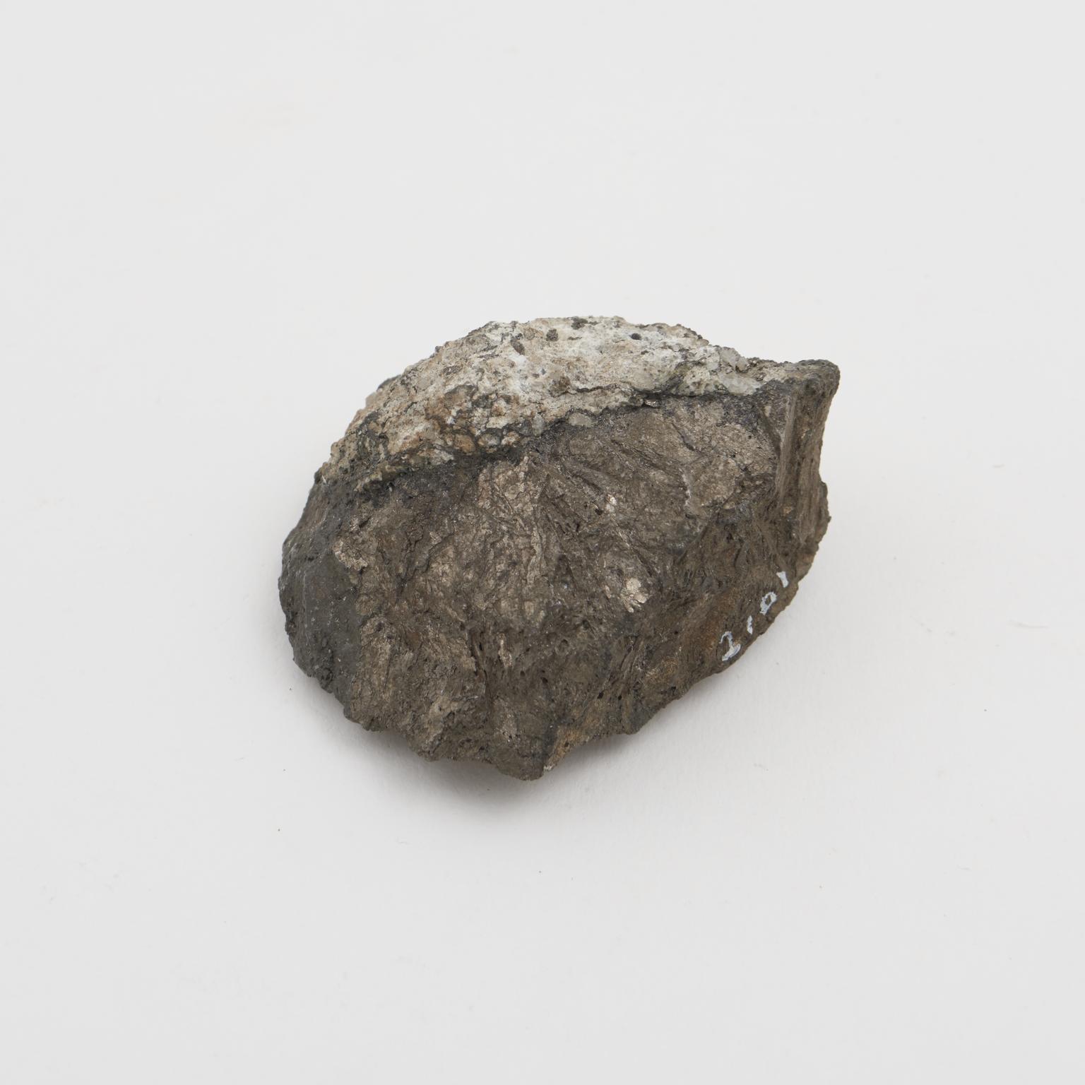 Hard head | Science Museum Group Collection