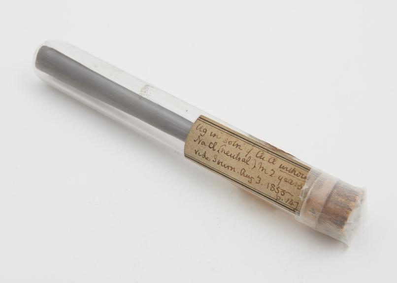 Experiment to show the formation of chloride of silver by the action of ...