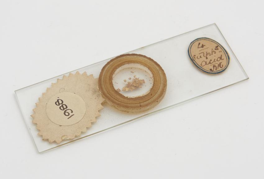 Microscope slide specimens of gold, precipitated by sulphurous acid ...