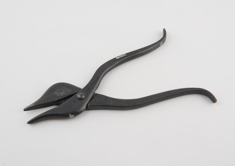 Copy of ancient butcher-bird forceps | Science Museum Group Collection