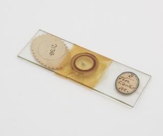 Electro-deposited tin. Presented by Mr. Makin | Science Museum Group ...