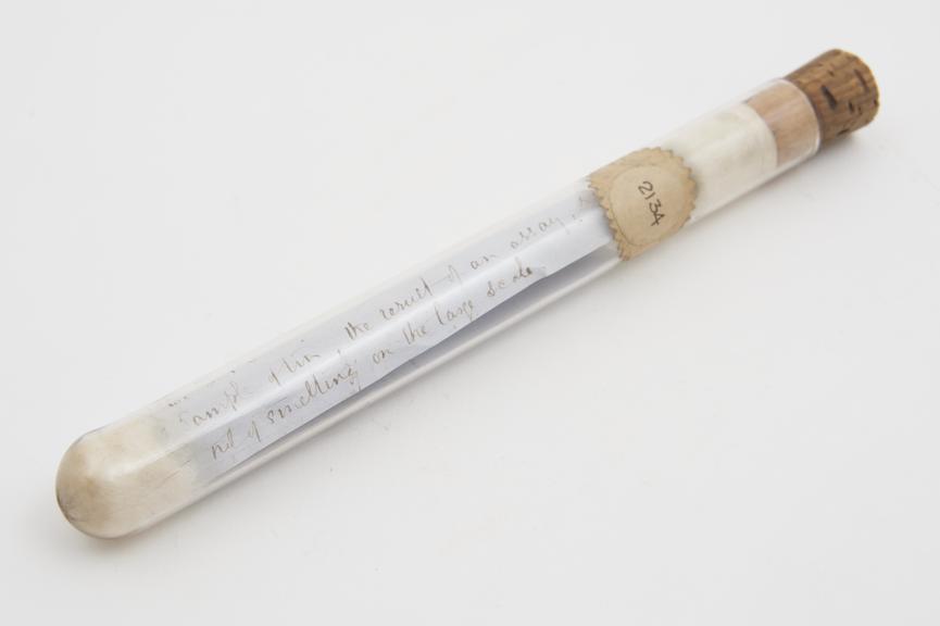 Sample of tin produced by assay, from ore obtained at Wheal Vor ...