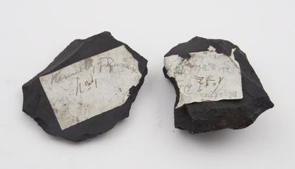 Oil shale from Scottish coalfields | Science Museum Group Collection