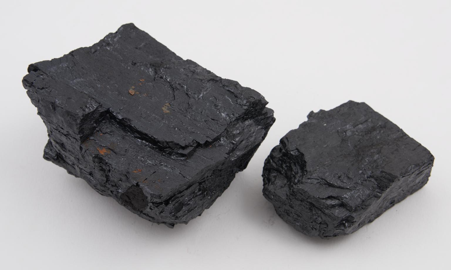 Peareth gas coal from Springwell Colliery | Science Museum Group Collection