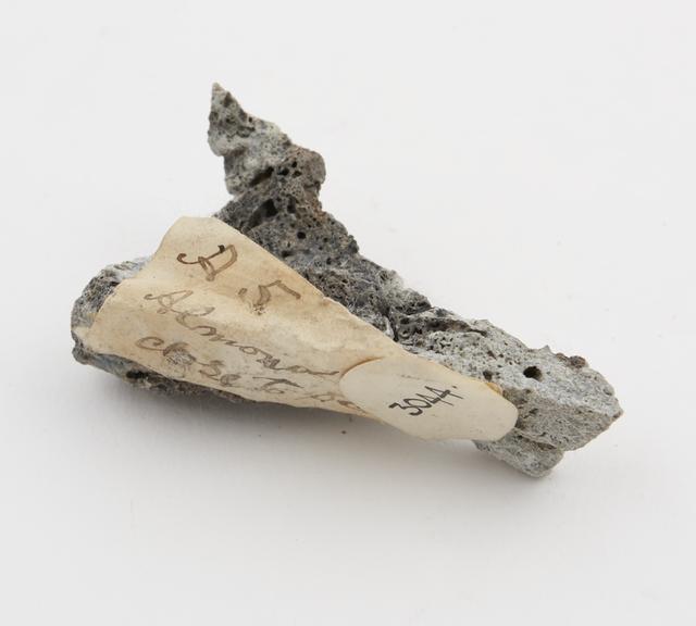 Blast-furnace slag | Science Museum Group Collection