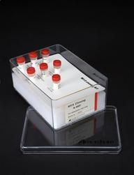 Kit for cloning DNA | Science Museum Group Collection