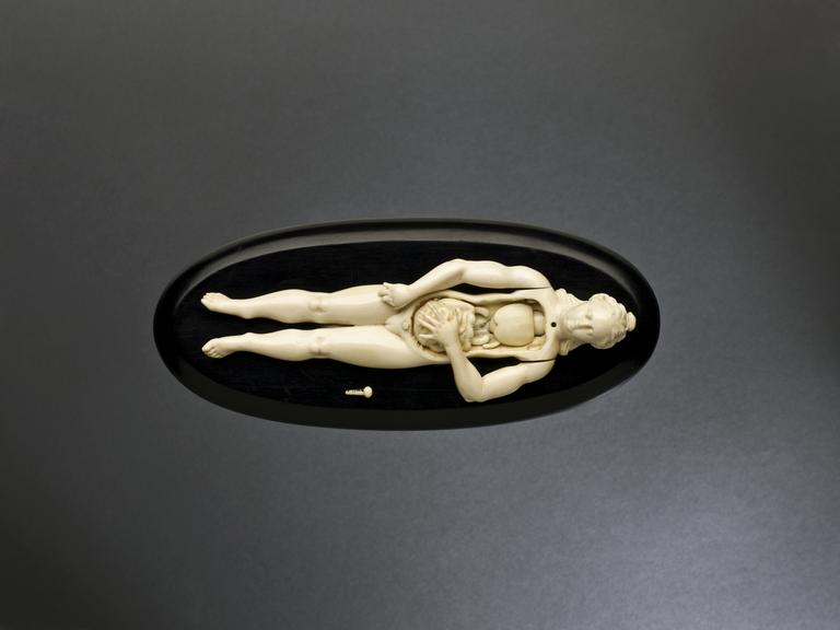 Ivory female anatomical figure, Germany, 1601-1800 | Science Museum ...