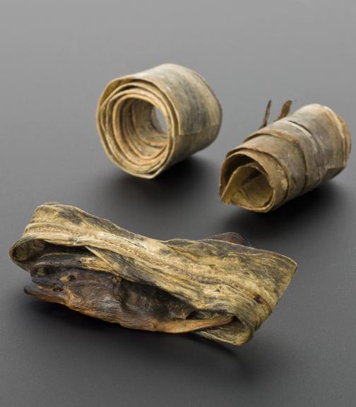 Eel skin amulet | Science Museum Group Collection