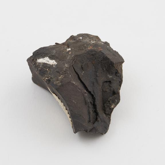 Nodular form of the Pennystone, Madeley, Shropshire | Science Museum ...