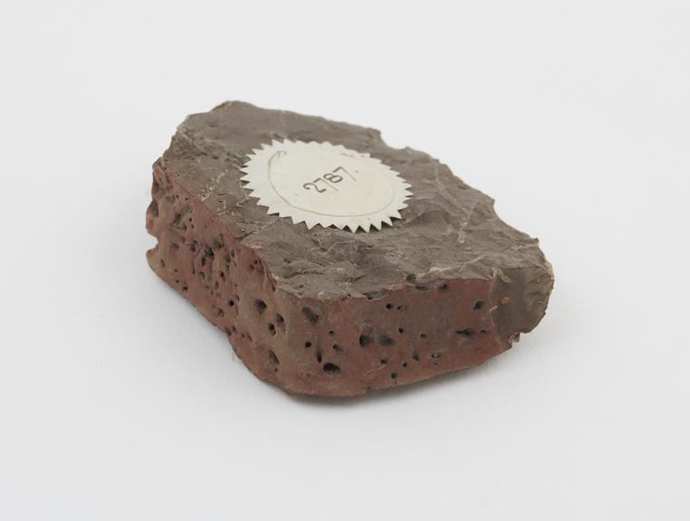 Clay ironstone from the Wealden on the shore near Hastings | Science ...