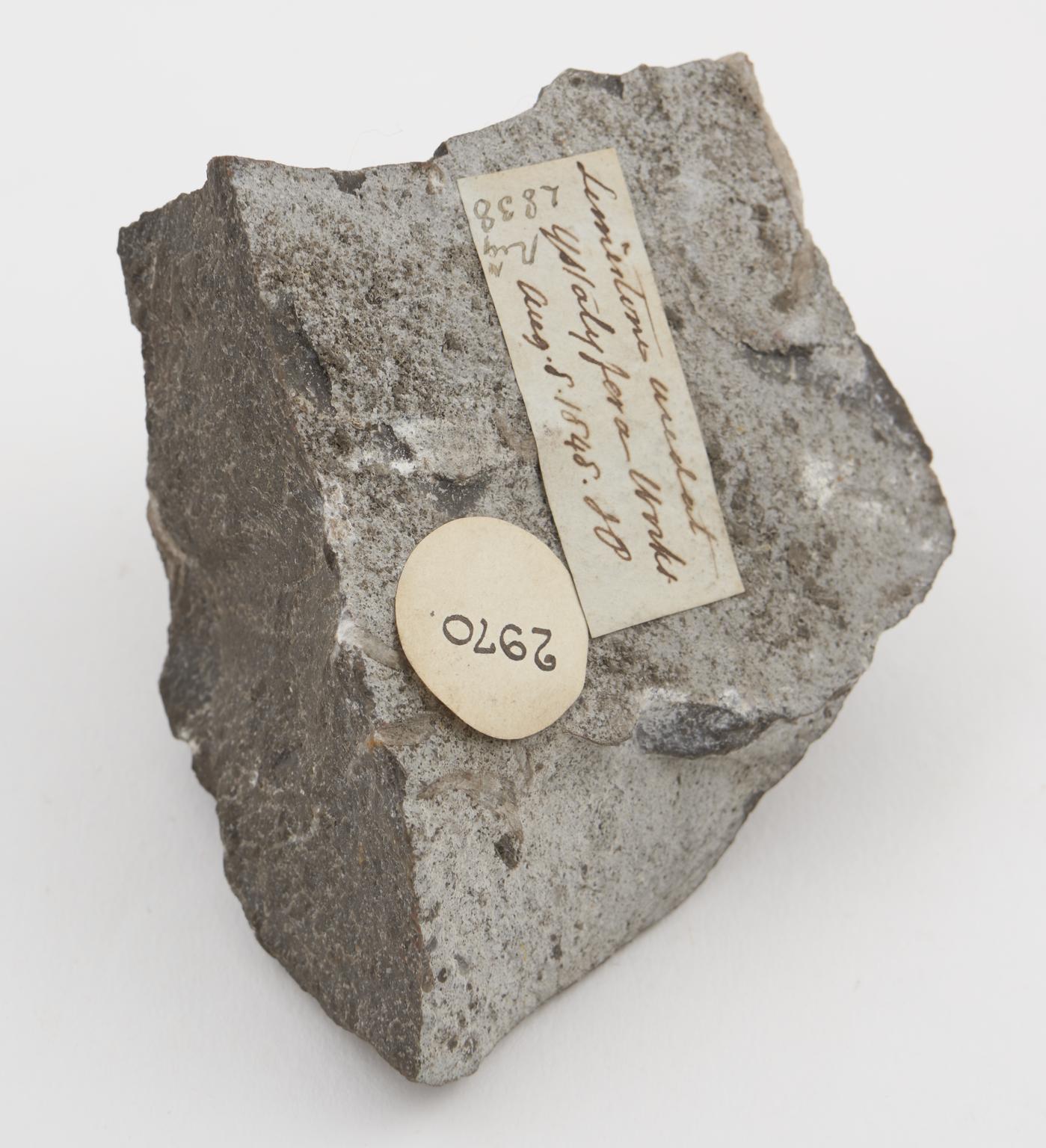 Limestone used at Ystalyfera, South Wales | Science Museum Group Collection