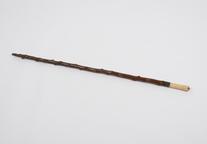 Gnarled walking stick | Science Museum Group Collection