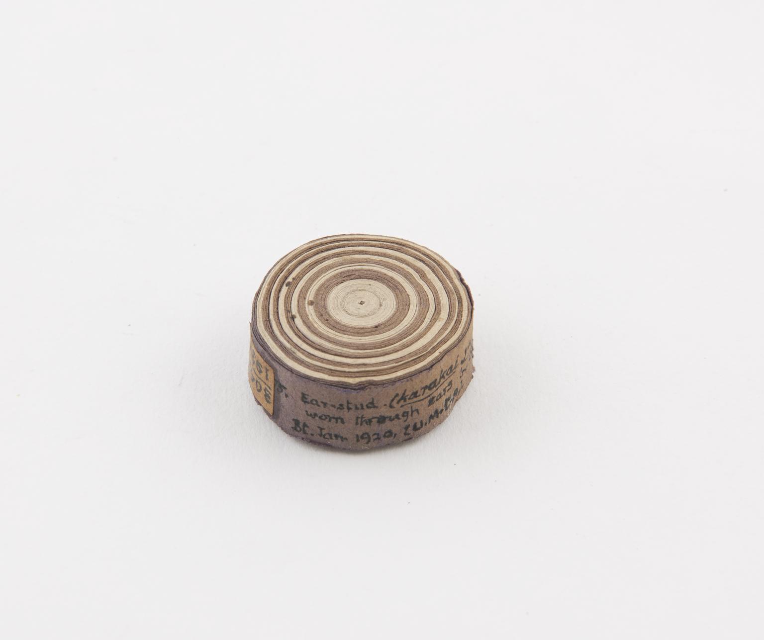 Ear plug made of disc of tightly rolled paper of two different colours ...