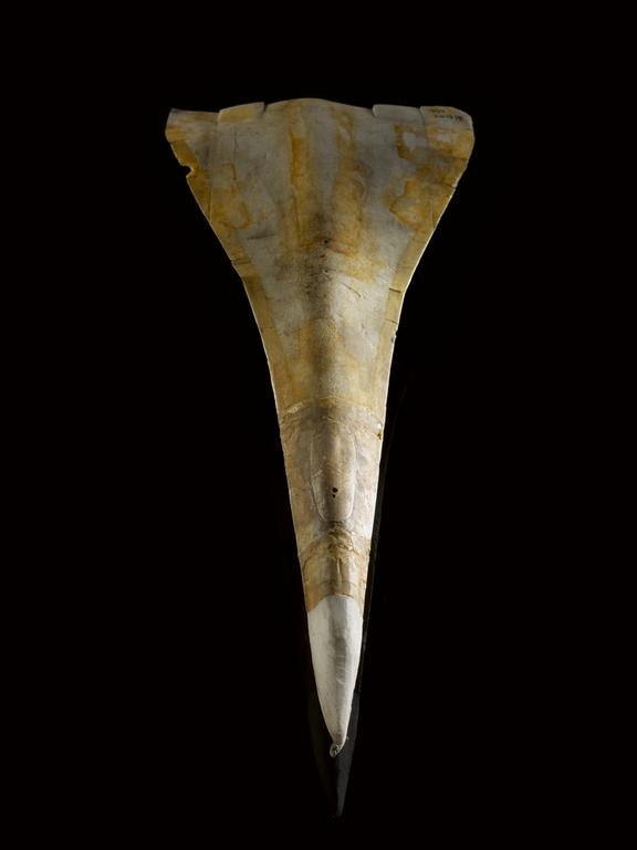 Wing Model used during the Investigation of the Concorde Wing Shape ...