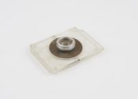 Ear chamber on Perspex mount | Science Museum Group Collection