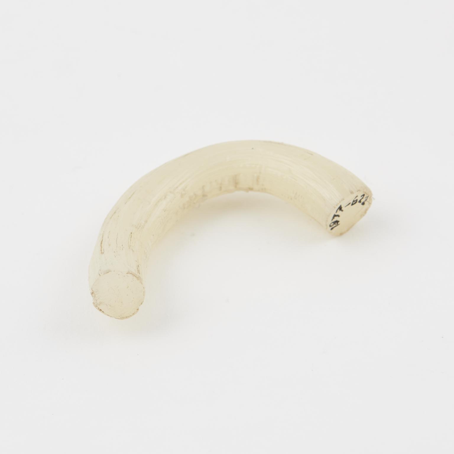 Sample of extruded polyethylene, 1938 | Science Museum Group Collection