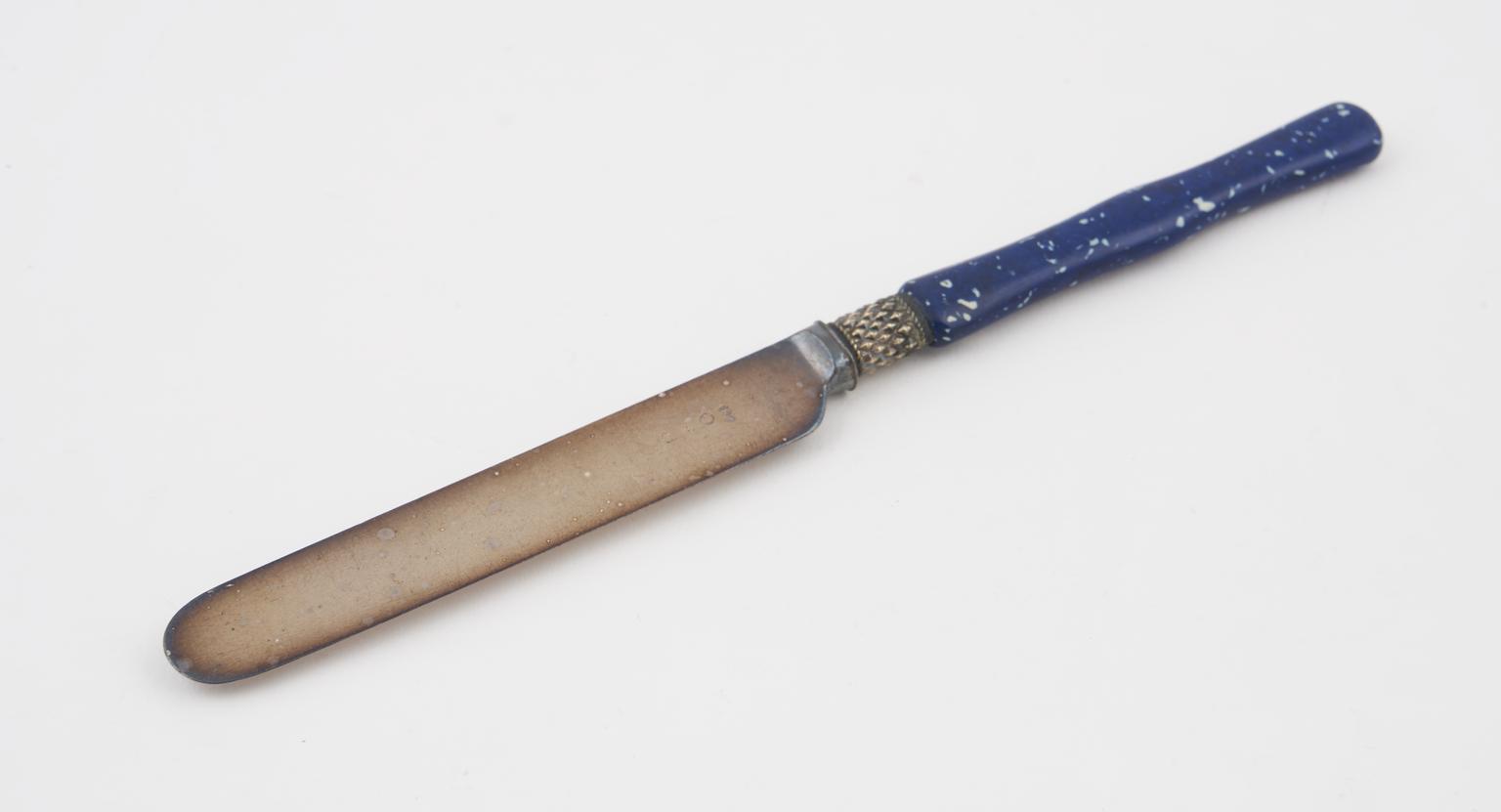 Knife with cellulose nitrate (Parkesine) handle | Science Museum Group ...