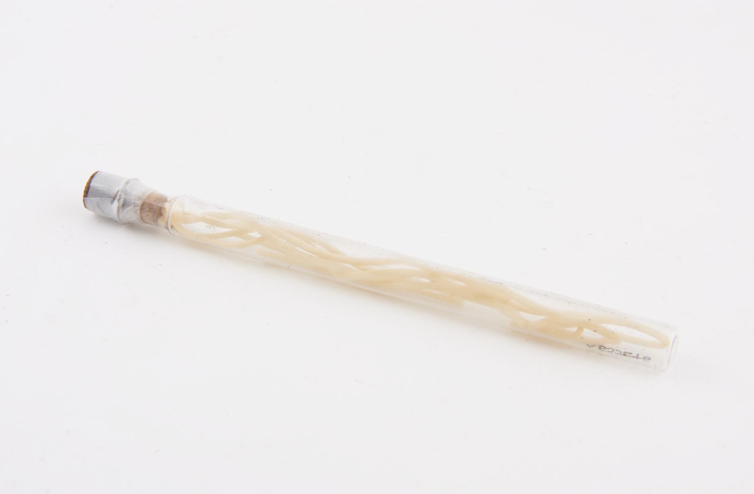 Long length of narrow sponge-like wick enclosed inside glass | Science ...