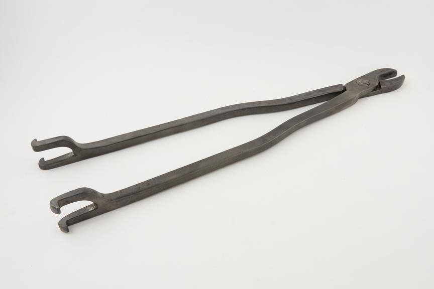 Veterinary dental forceps | Science Museum Group Collection