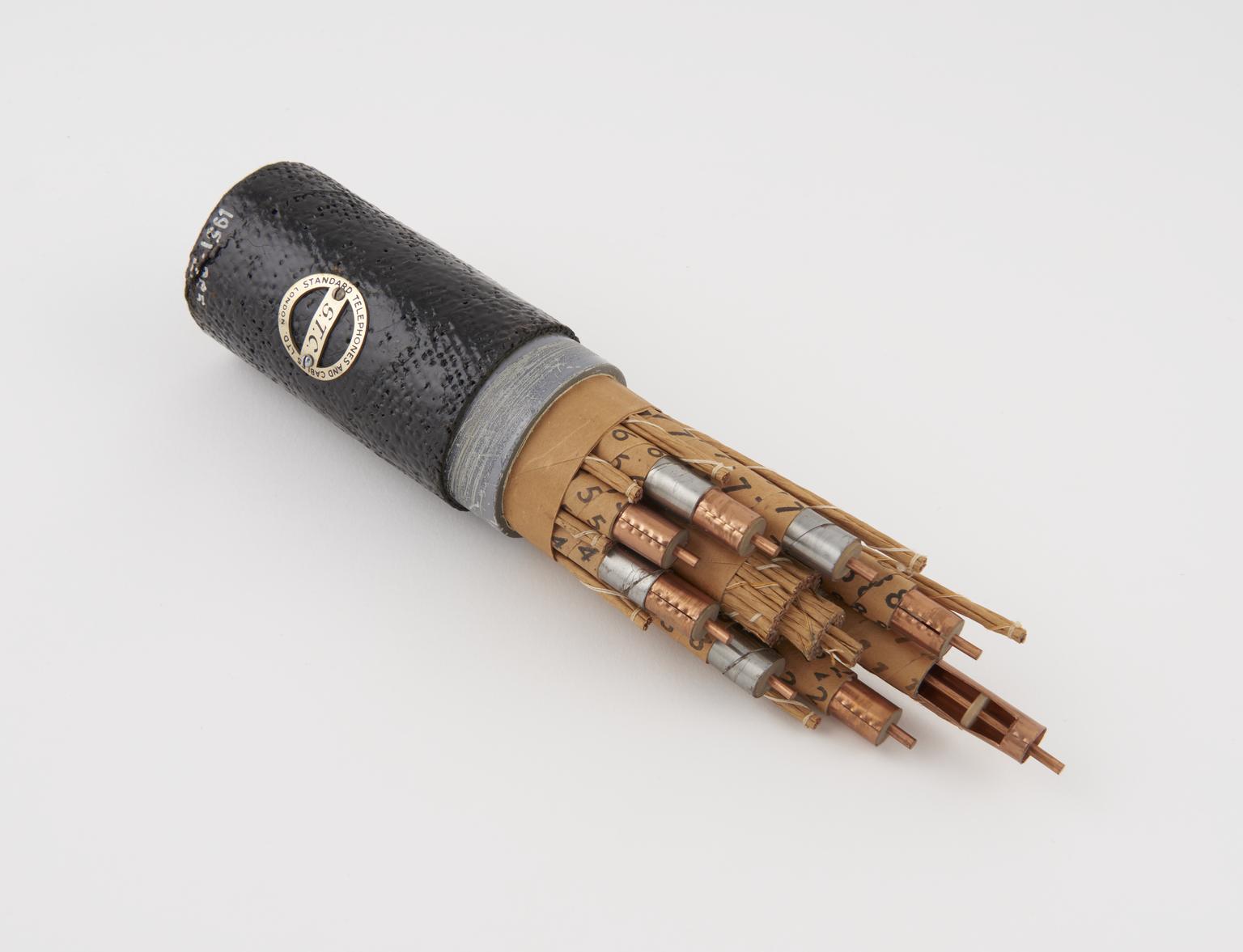 Two specimens | Science Museum Group Collection