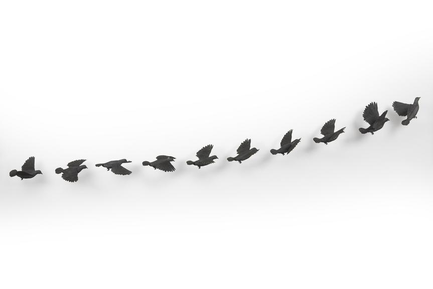 Serial sculpture of bird flight | Science Museum Group Collection