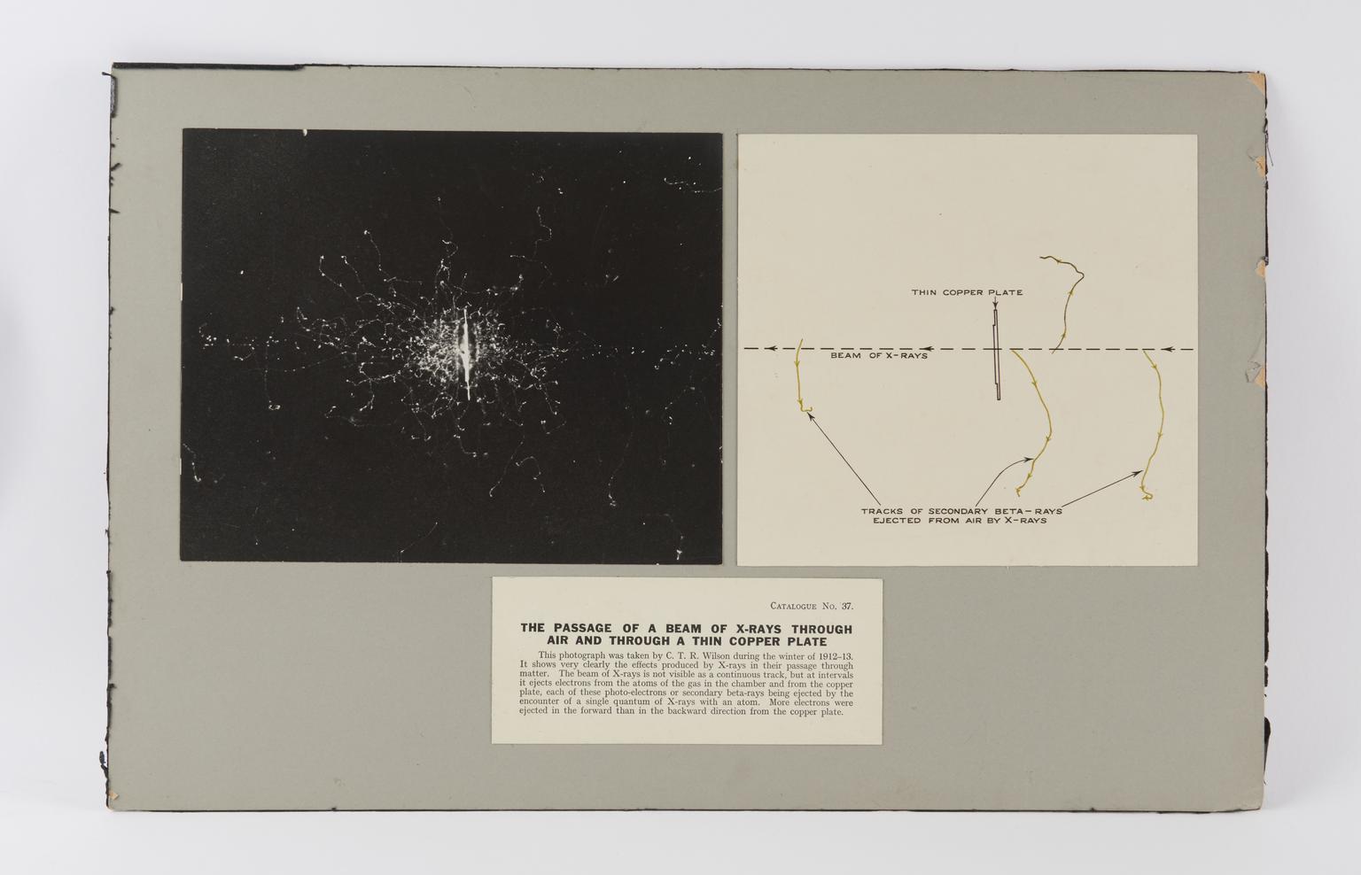 Photogaphic print and diagram, showing showing secondary beta-rays ...