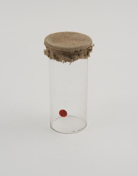 Open ended cylinder with a lip at one end | Science Museum Group Collection
