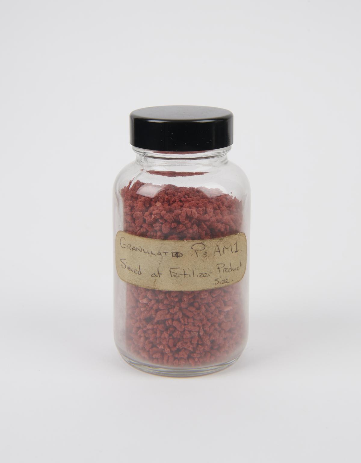 Three bottles of Spray-dried Bacteria | Science Museum Group Collection
