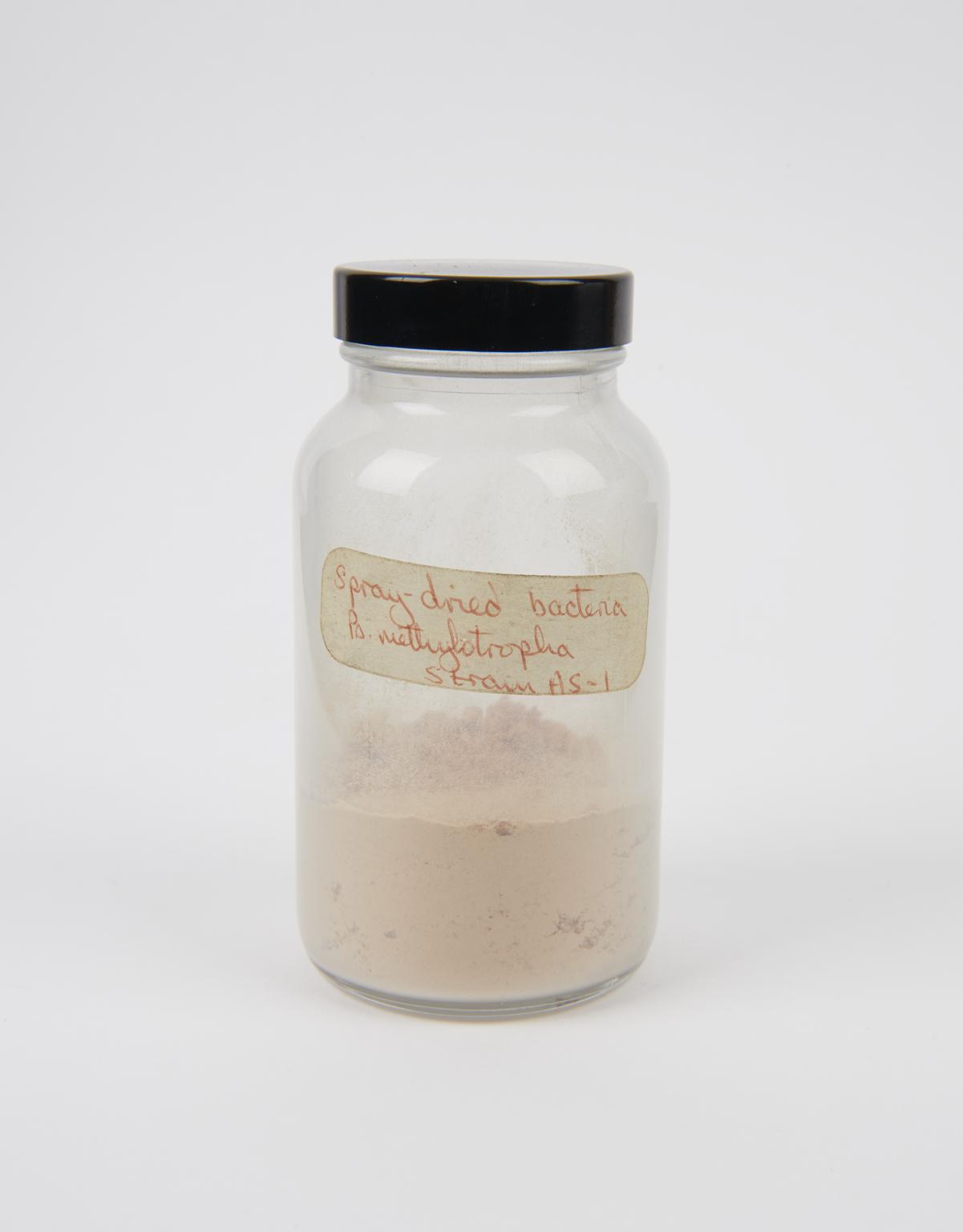 Three bottles of Spray-dried Bacteria | Science Museum Group Collection