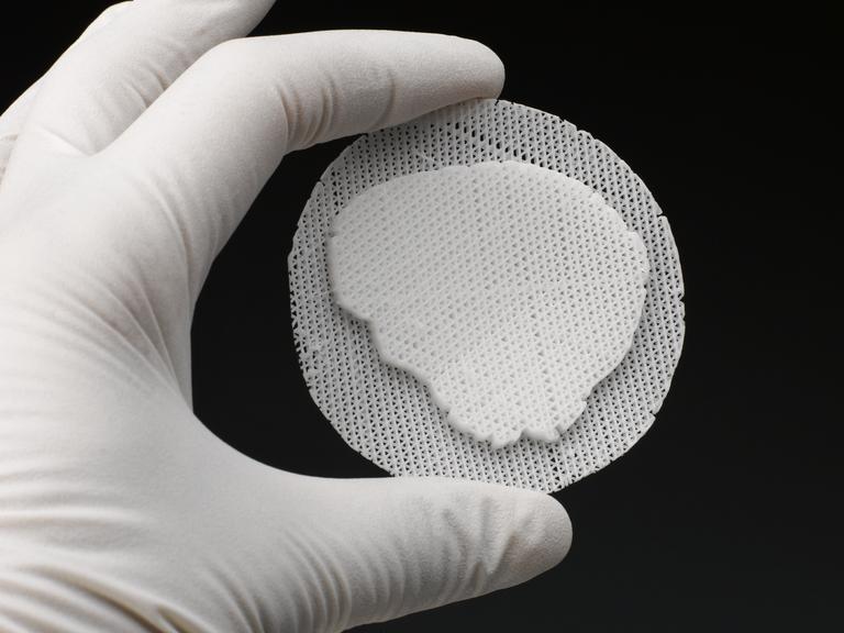 3D printed bone scaffold | Science Museum Group Collection