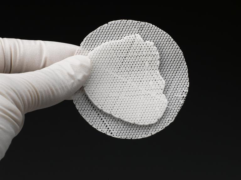 3D printed bone scaffold | Science Museum Group Collection