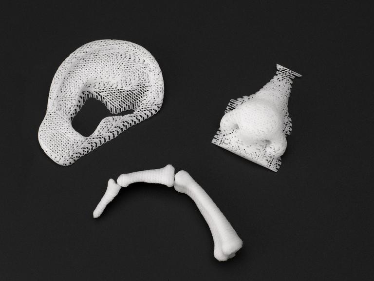 3D printed ear scaffold | Science Museum Group Collection