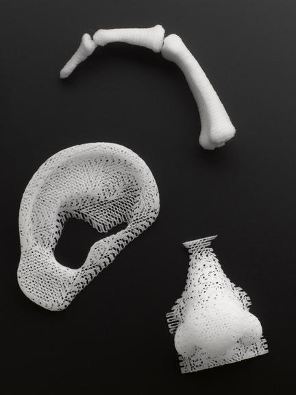 3D printed ear scaffold | Science Museum Group Collection