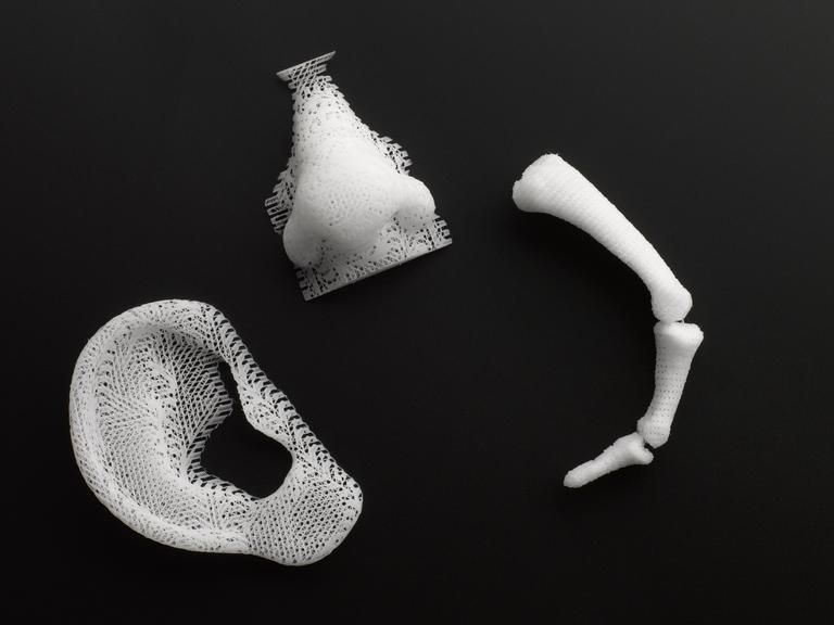 3D printed ear scaffold | Science Museum Group Collection