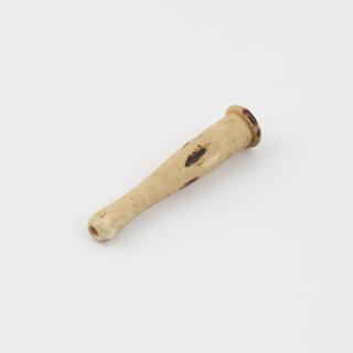 Bone nozzle only, from an enema syringe | Science Museum Group Collection