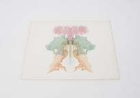 Card IX Rorschach inkblot test card printed by Hans Huber | Science ...