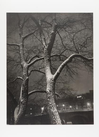 Trees by the Pont-Neuf | Science Museum Group Collection