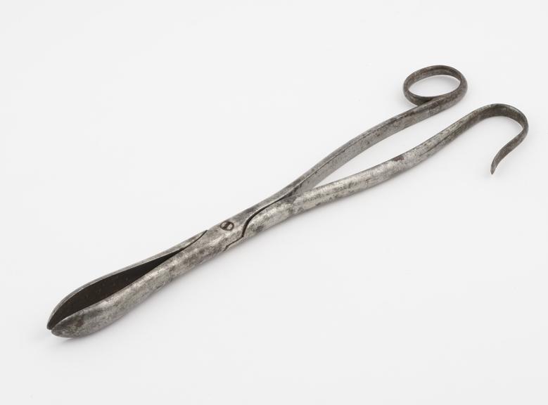 Large, straight lithotomy forceps with cross-action shanks | Science ...