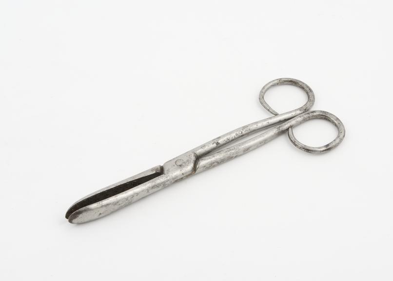 Small pair of straight lithotomy forceps | Science Museum Group Collection