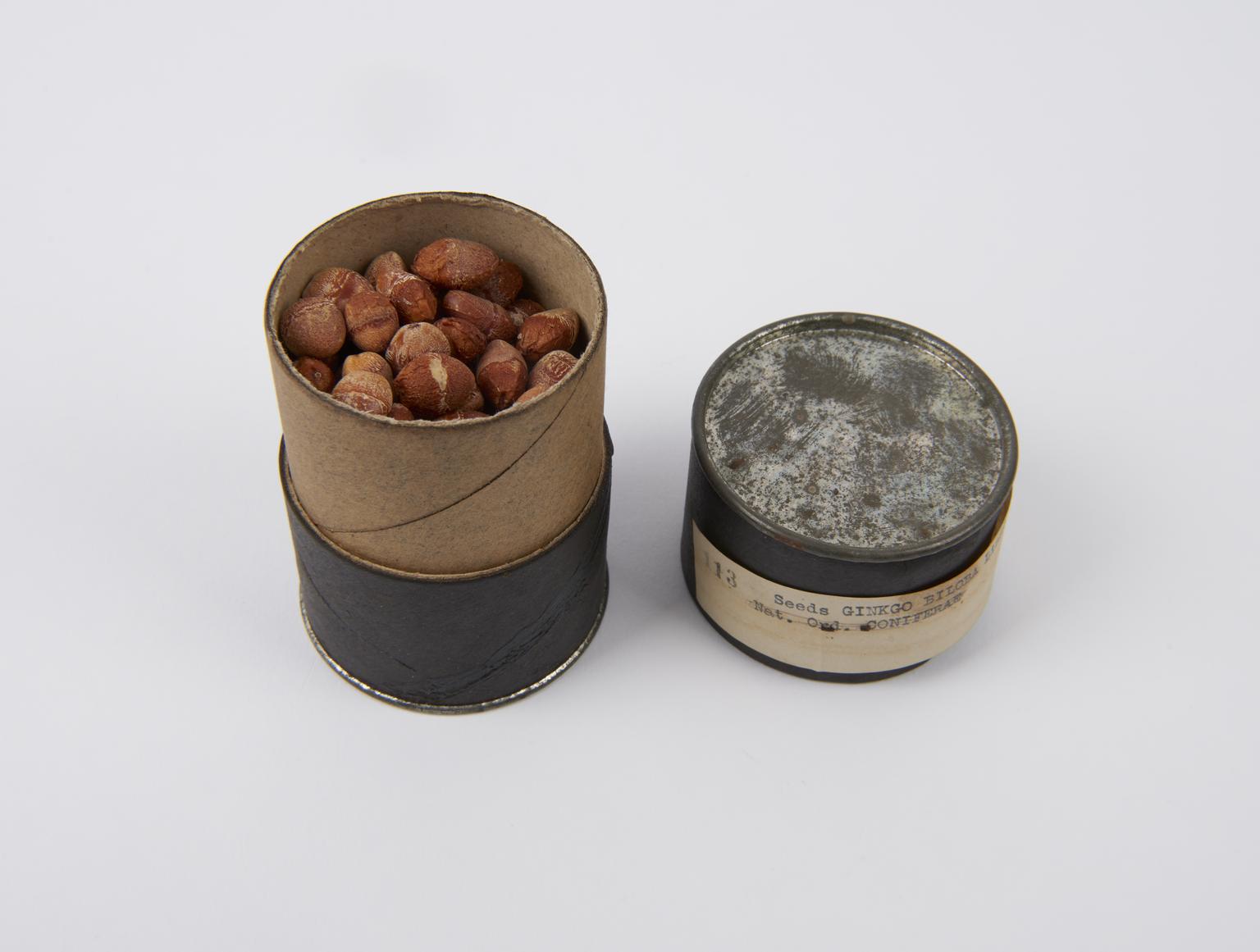 Natural specimens belonging to F. B. Power | Science Museum Group ...