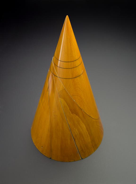 Dissected cone | Science Museum Group Collection