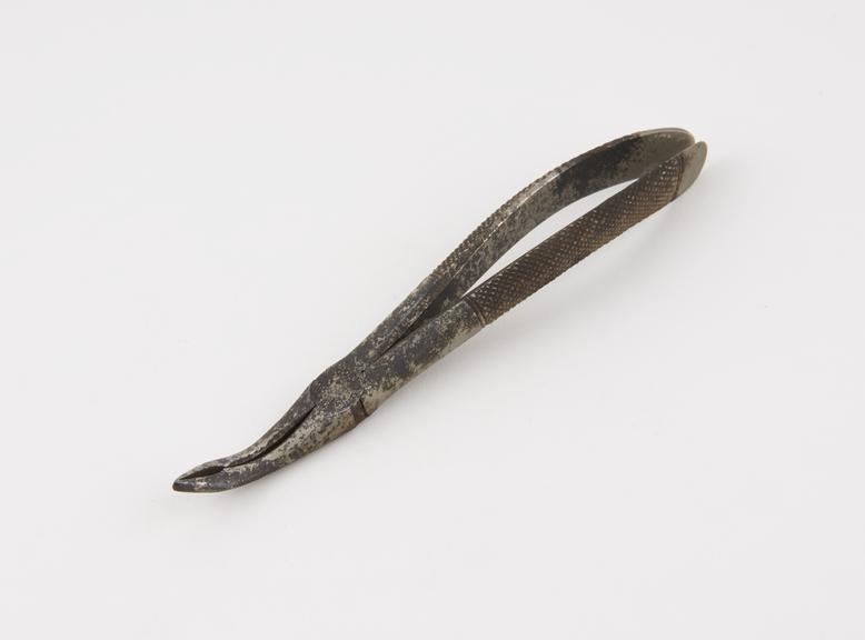 Dental forceps for upper roots | Science Museum Group Collection