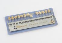 Shade guide for "Myerson's Standard " acrylic teeth | Science Museum ...