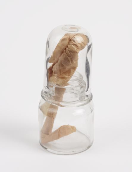 Glass jar with lid for immersion oil | Science Museum Group Collection